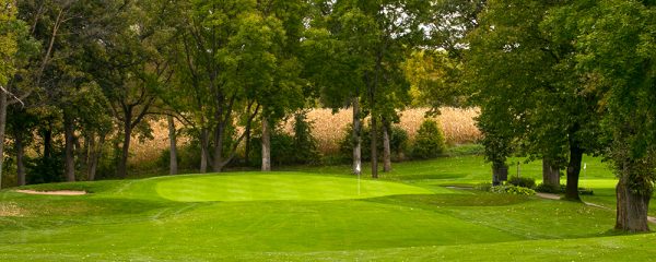 Golf Course - Island View Golf Club